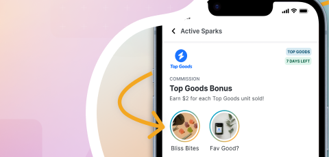 How to Snap 101: What is Snaps?